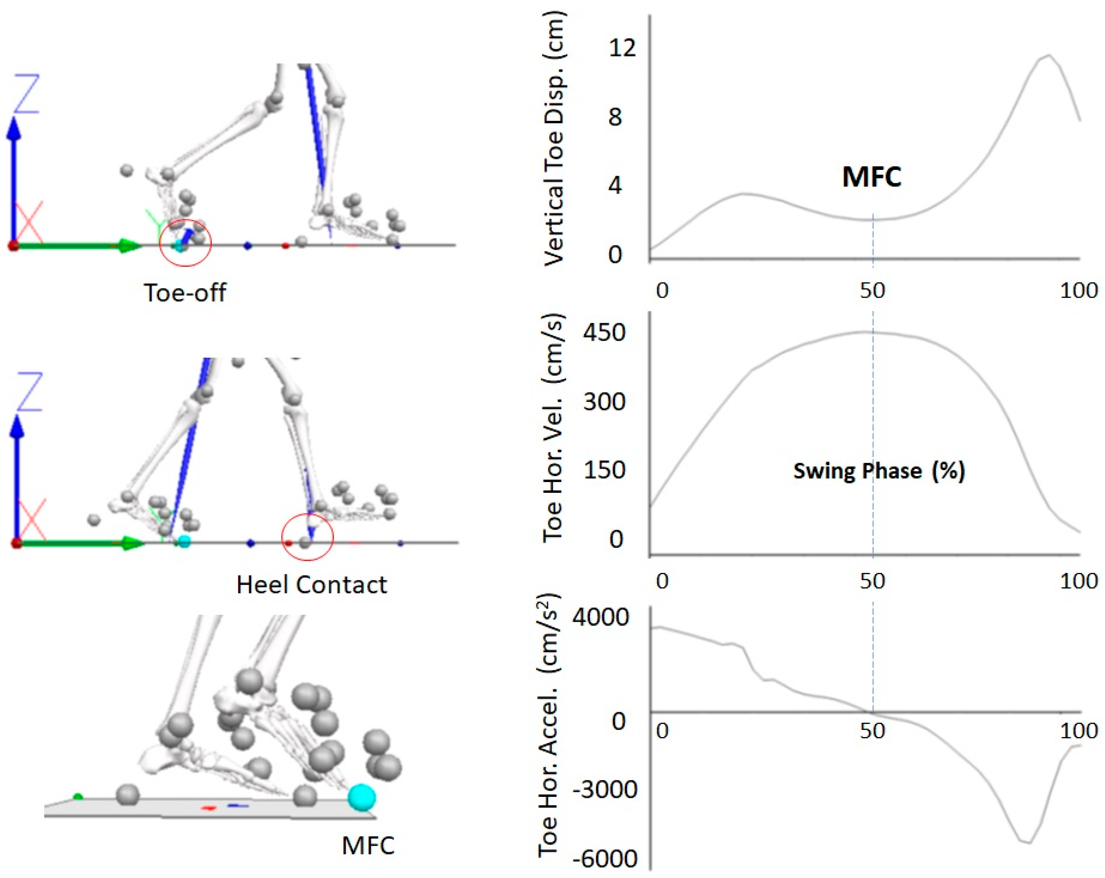 Using Deep Learning to Predict Minimum Foot–Ground Clearance Event from ...