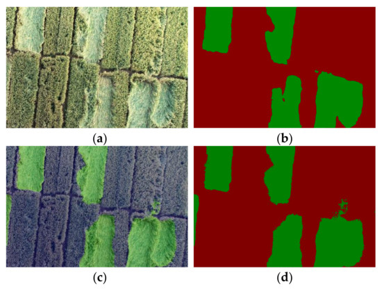 Monitoring Wheat Lodging At Various Growth Stages