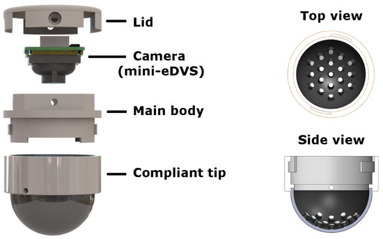 Neuromorphic Tactile Edge Orientation Classification in an Unsupervised Spiking Neural Network