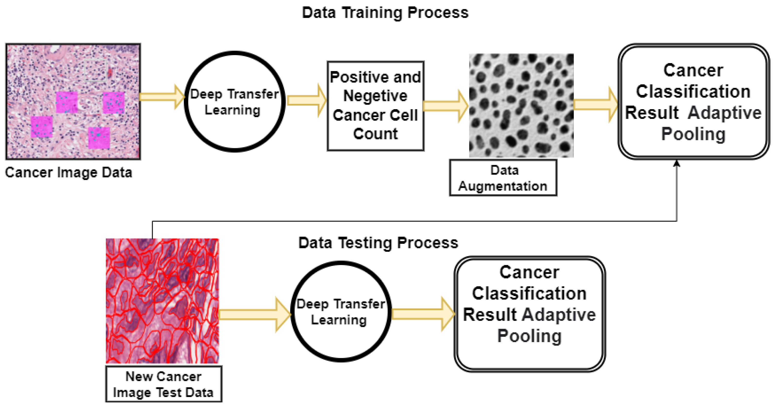 Sensors Free Full Text Detection On Cell Cancer Using The Deep Transfer Learning And