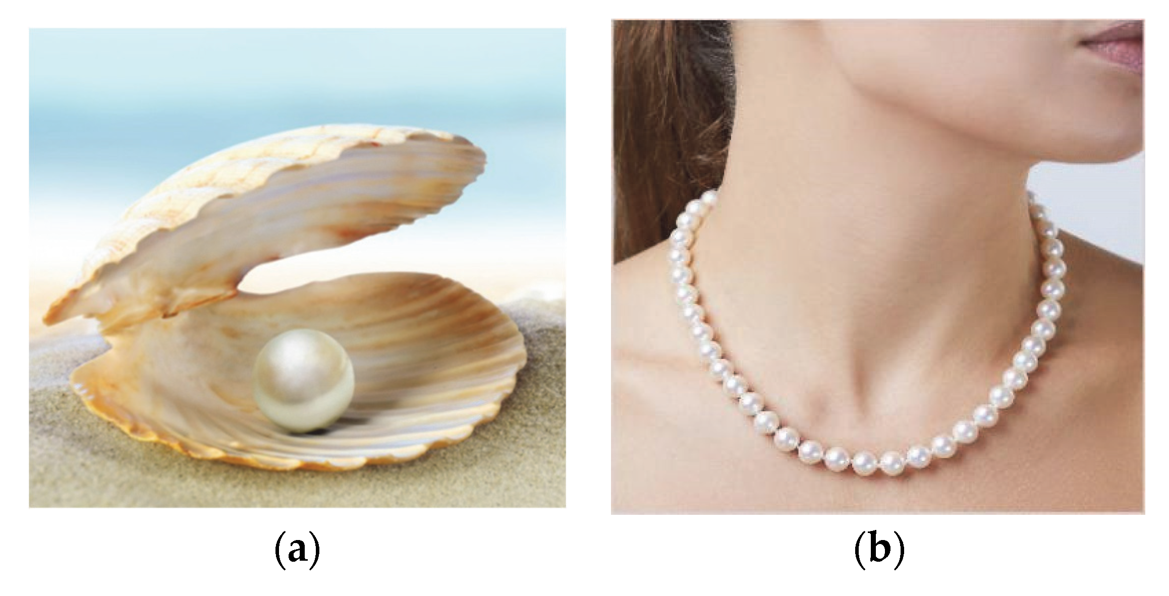 PDC: Pearl Detection with a Counter Based on Deep Learning