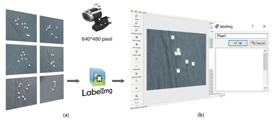 PDC: Pearl Detection with a Counter Based on Deep Learning