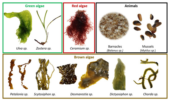 A Tunable Hyperspectral Imager for Detection and Quantification of ...