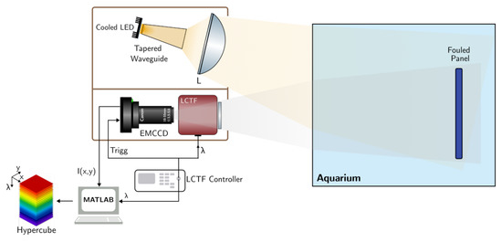 Sensors | Free Full-Text | A Tunable Hyperspectral Imager for Detection and Quantification of ...
