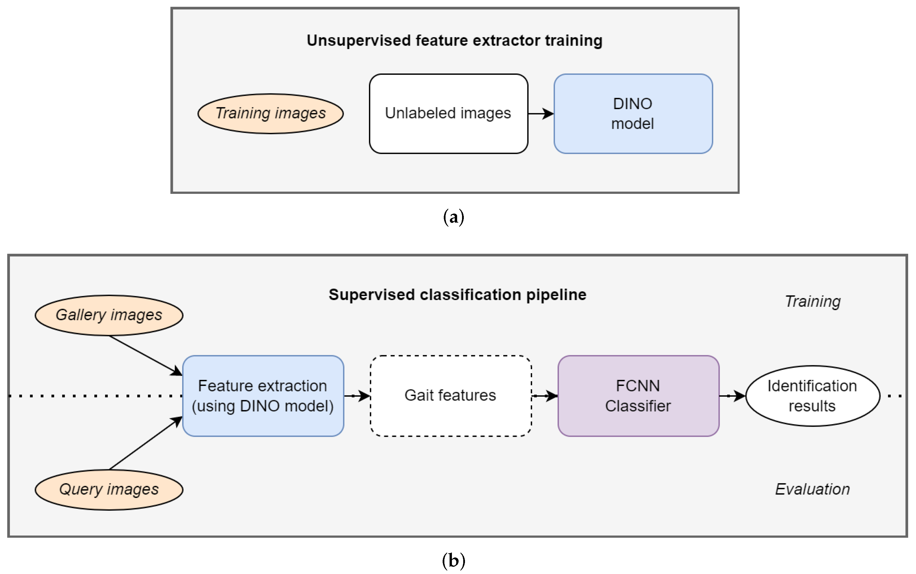 Gait Recognition with Self-Supervised Learning of Gait Features Based on Vision Transformers