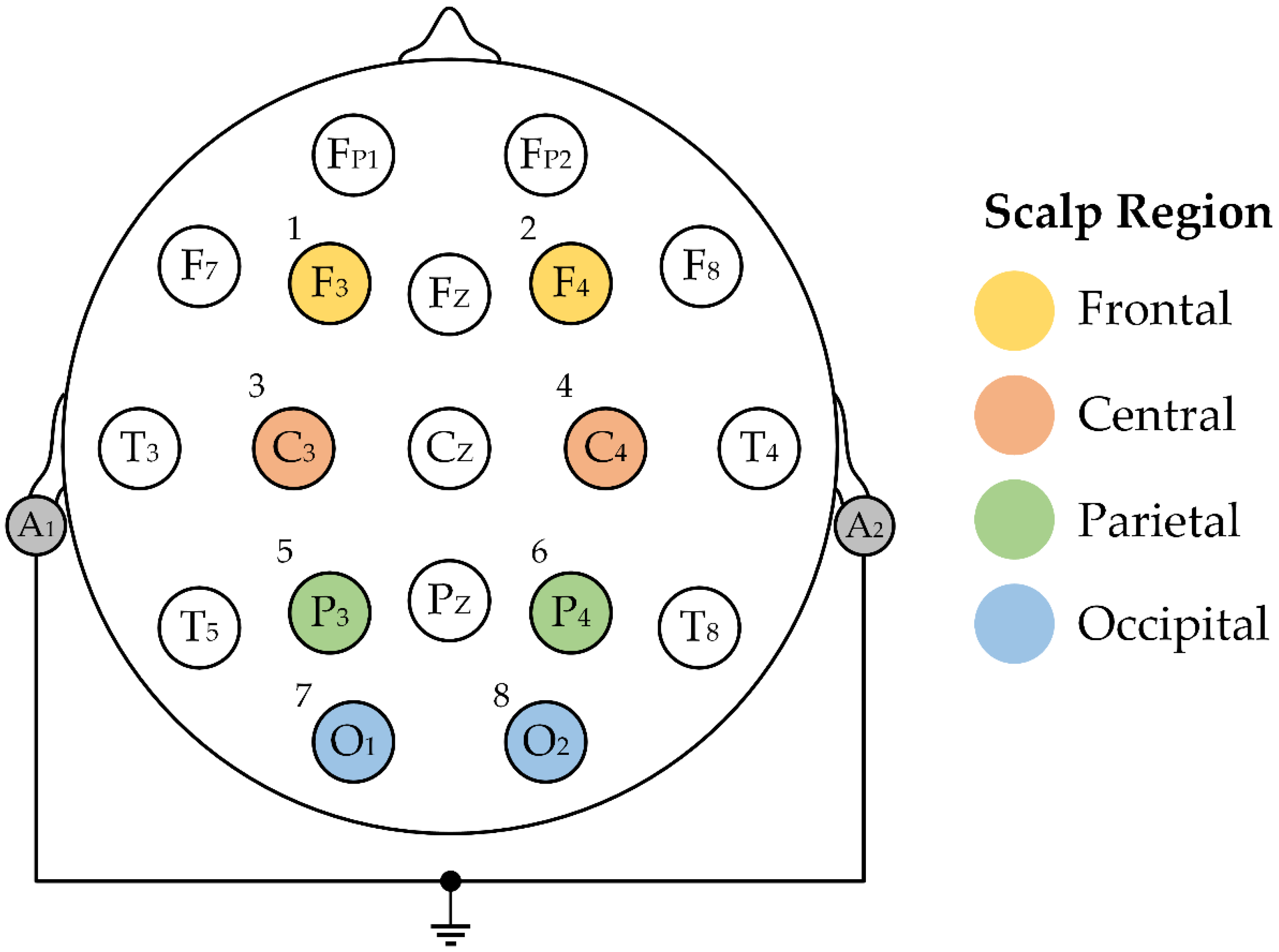 EEG-Based Person Identification during Escalating Cognitive Load