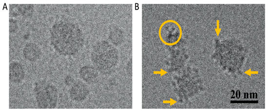 Near Infrared Emitting Semiconductor Polymer Dots for Bioimaging and ...