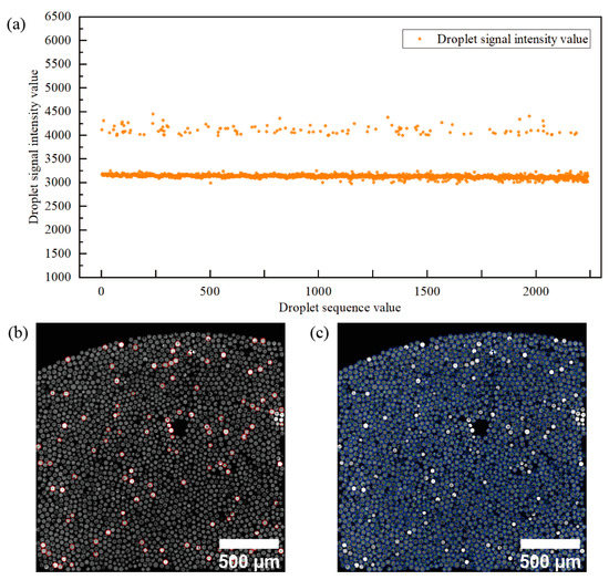 Image Segmentation and Quantification of Droplet dPCR Based on Thermal ...