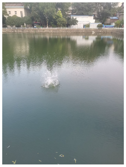 Sensors | Free Full-Text | Optimization Algorithm for Delay Estimation Based on Singular Value ...