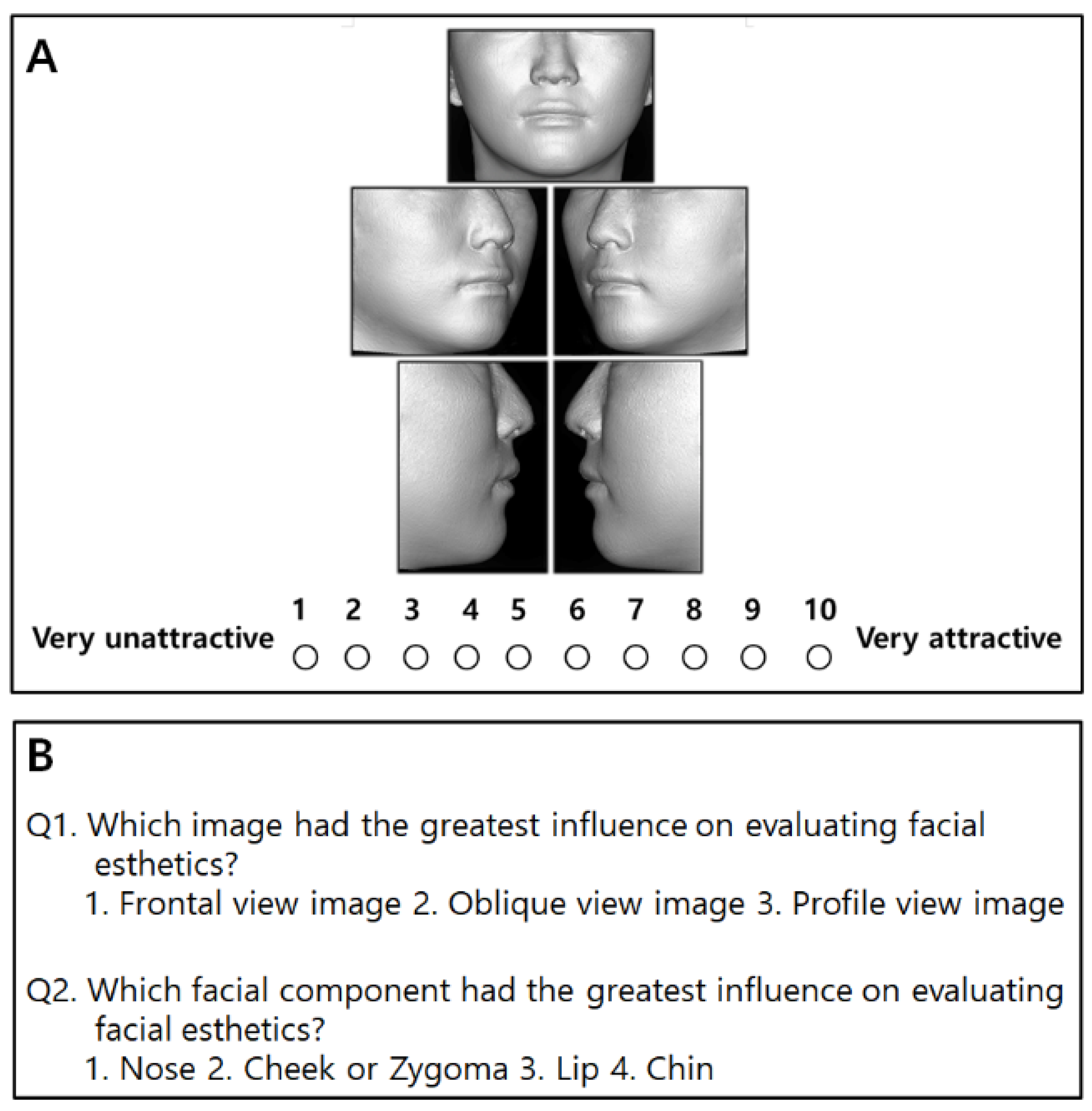 A CBCT Evaluation of Esthetic Preference Regarding the Perceived Facial ...