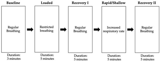 Optical Monitoring of Breathing Patterns and Tissue Oxygenation: A ...