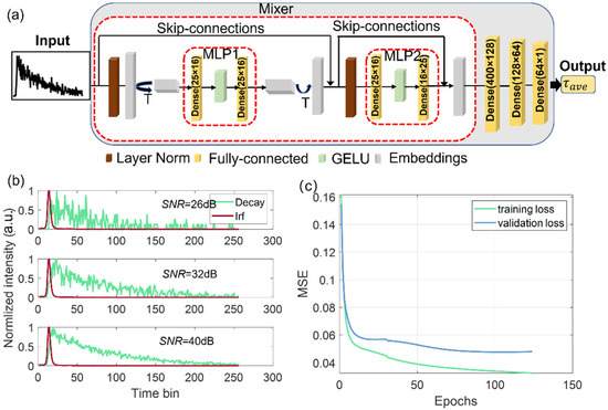Simple and Robust Deep Learning Approach for Fast Fluorescence Lifetime Imaging