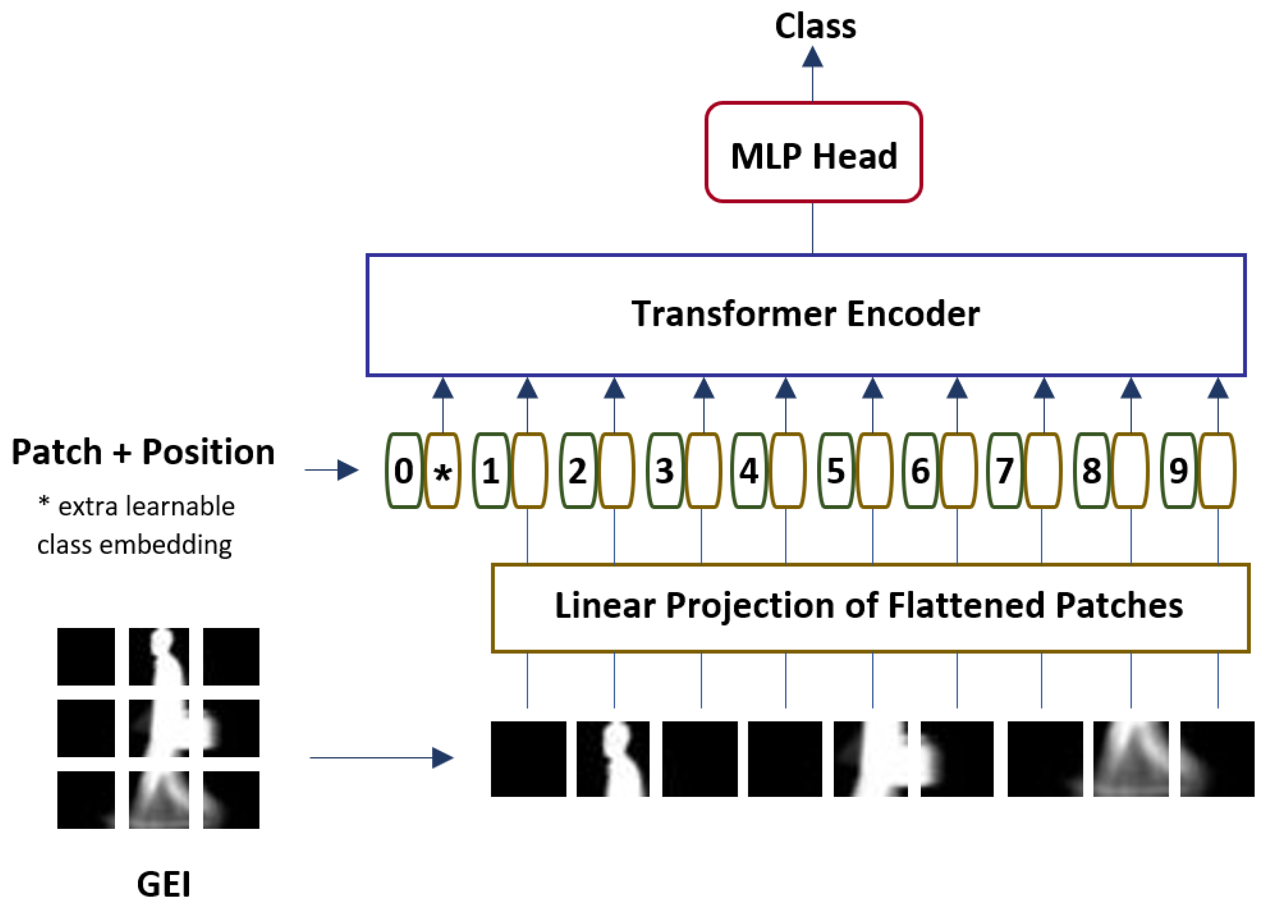 Sensors | Free Full-Text | Gait-ViT: Gait Recognition with Vision Transformer