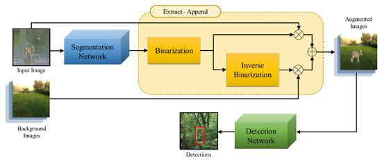 Improved Monitoring of Wildlife Invasion through Data Augmentation by ...