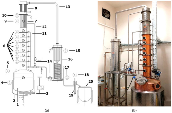 A Smart Alcoholmeter Sensor Based on Deep Learning Visual Perception