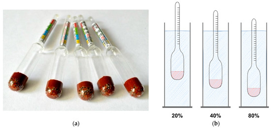 A Smart Alcoholmeter Sensor Based on Deep Learning Visual Perception