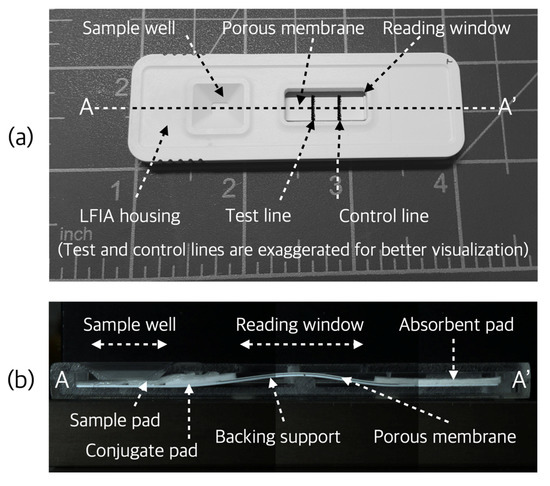 Lateral Flow Immunoassay Reader Technologies for Quantitative Point-of ...