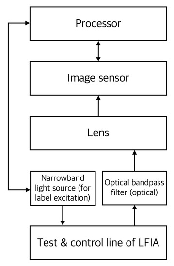 Lateral Flow Immunoassay Reader Technologies for Quantitative Point-of ...