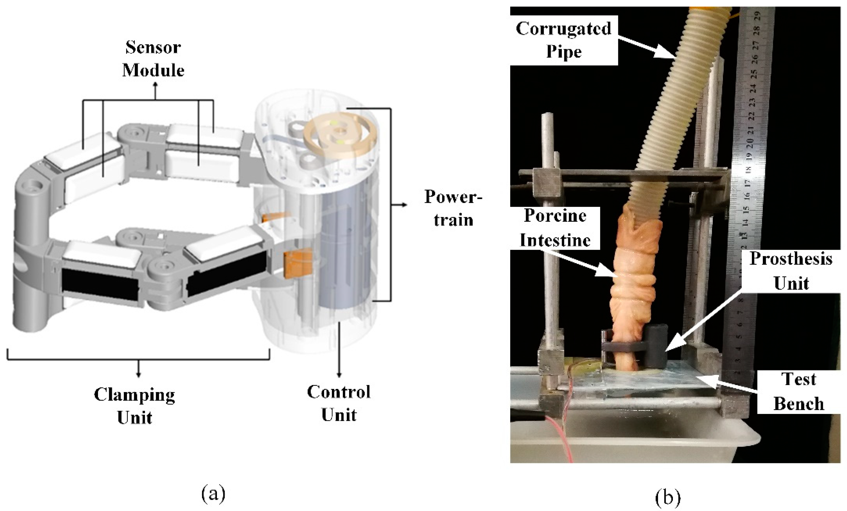 A Novel Sensor System for In Vivo Perception Reconstruction Based on ...