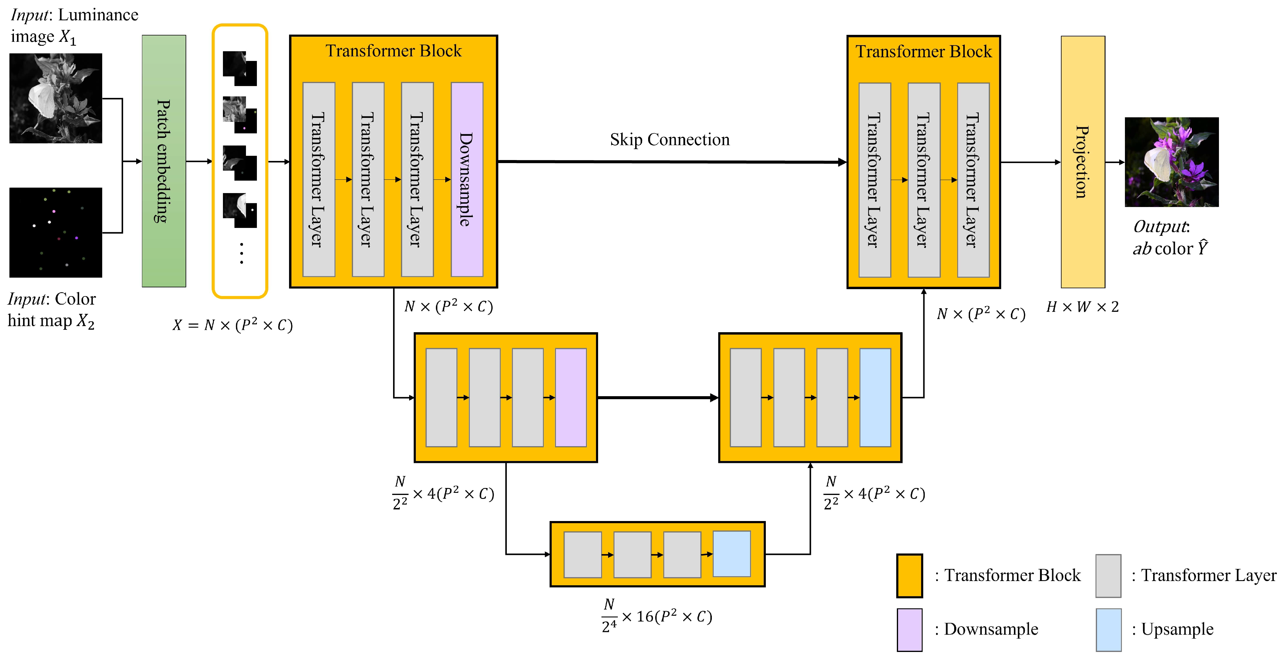Hint-Based Image Colorization Based on Hierarchical Vision Transformer