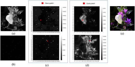 Hint-Based Image Colorization Based on Hierarchical Vision Transformer