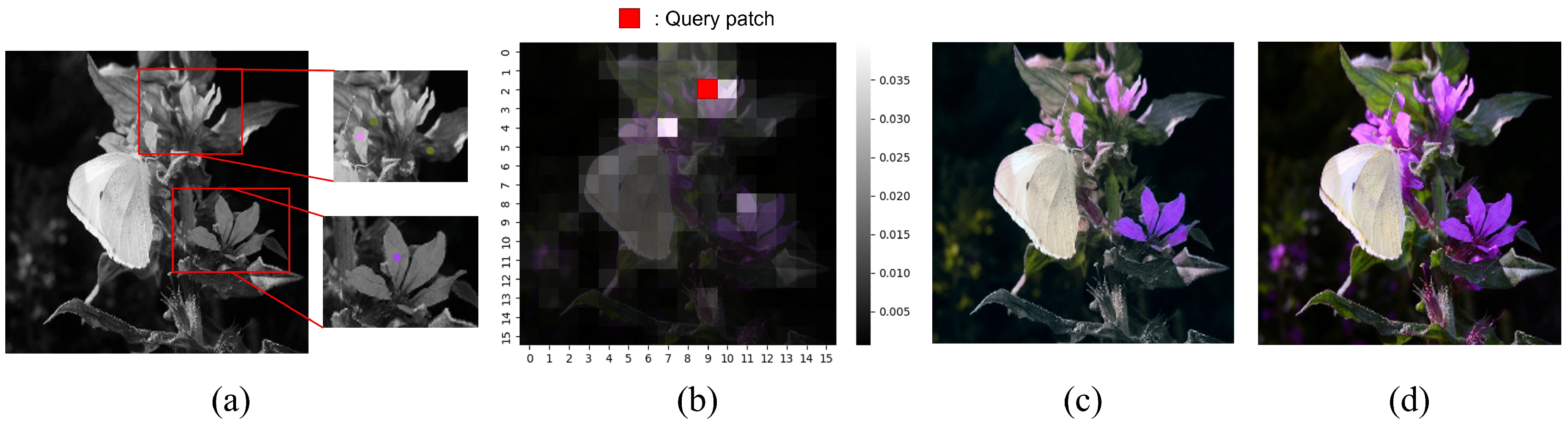 Hint-Based Image Colorization Based on Hierarchical Vision Transformer