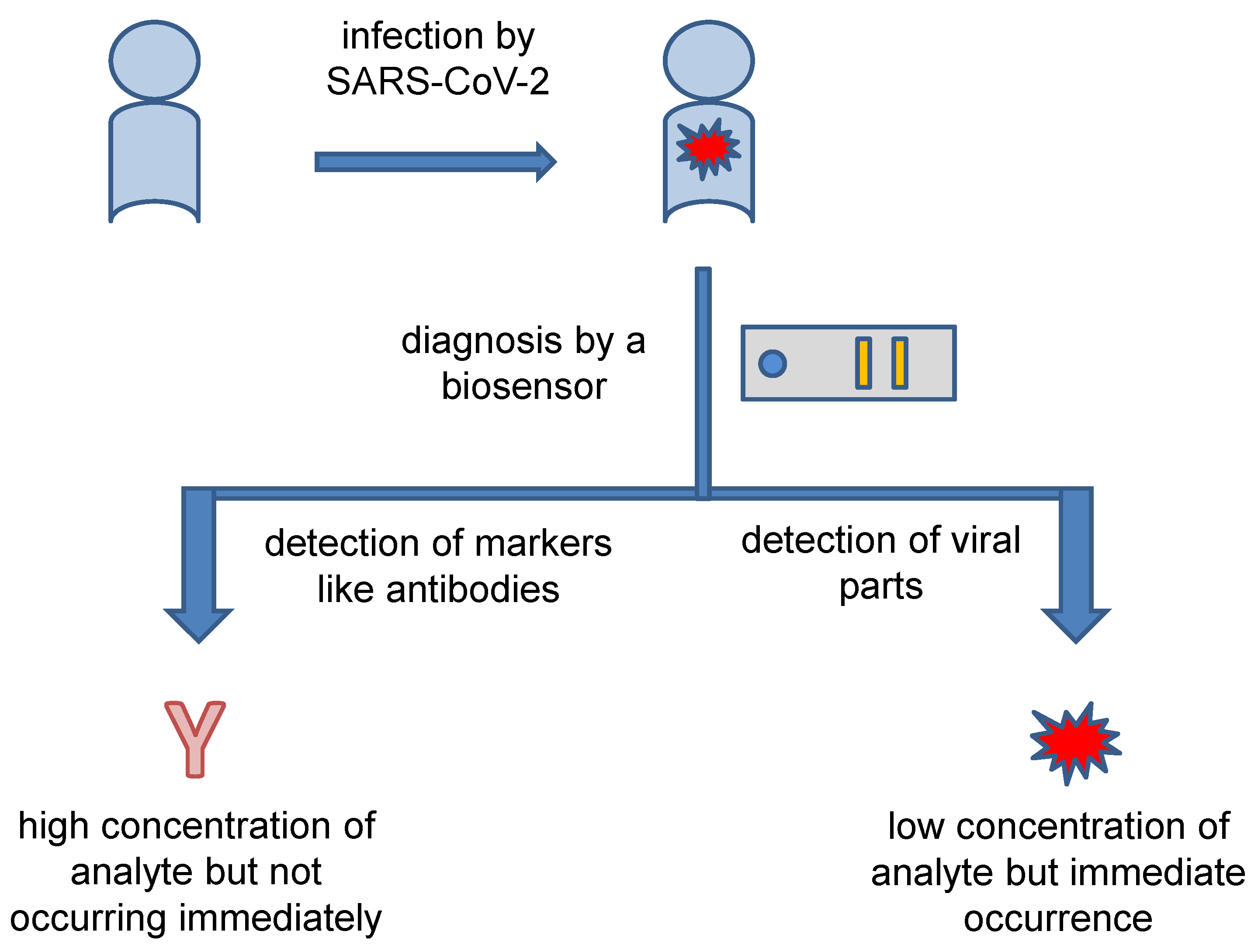 Sensors | Free Full-Text | Progress in Biosensors for the Point-of-Care Diagnosis of COVID-19