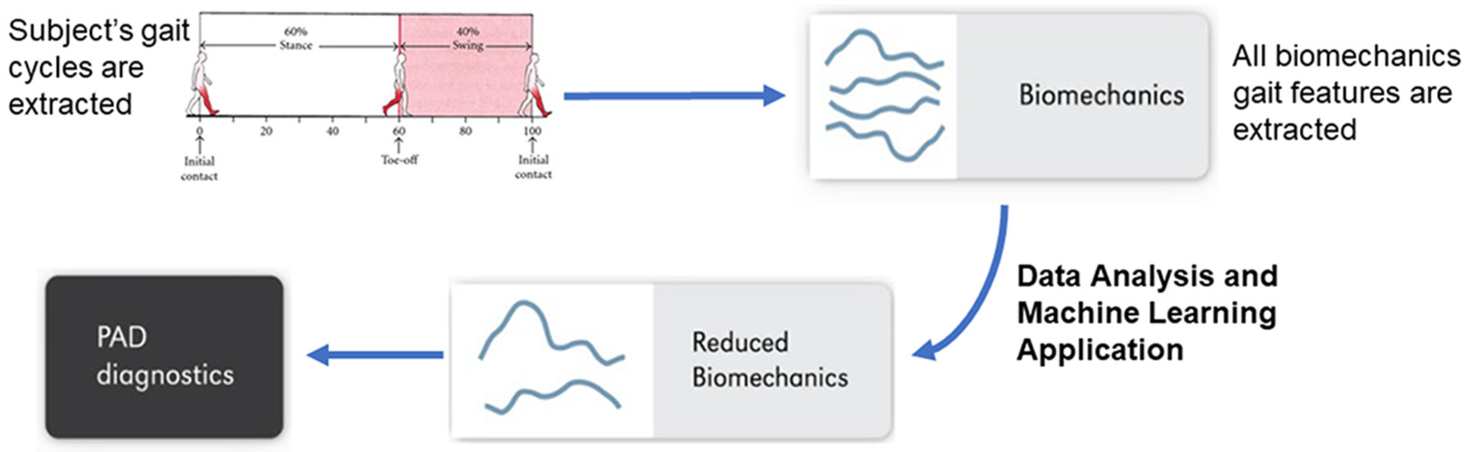 Machine Learning-Based Peripheral Artery Disease Identification Using ...