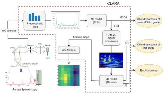 Deep Learning for Chondrogenic Tumor Classification through Wavelet ...