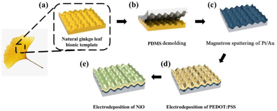 Ginkgo Leaf Inspired Fabrication of Micro/Nanostructures and ...
