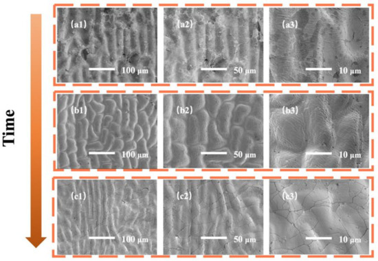 Ginkgo Leaf Inspired Fabrication of Micro/Nanostructures and Demonstration of Flexible Enzyme ...