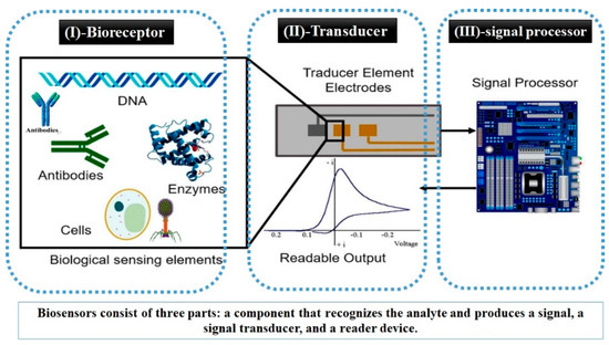 Advances in Electrochemical Nano-Biosensors for Biomedical and Environmental Applications: From ...