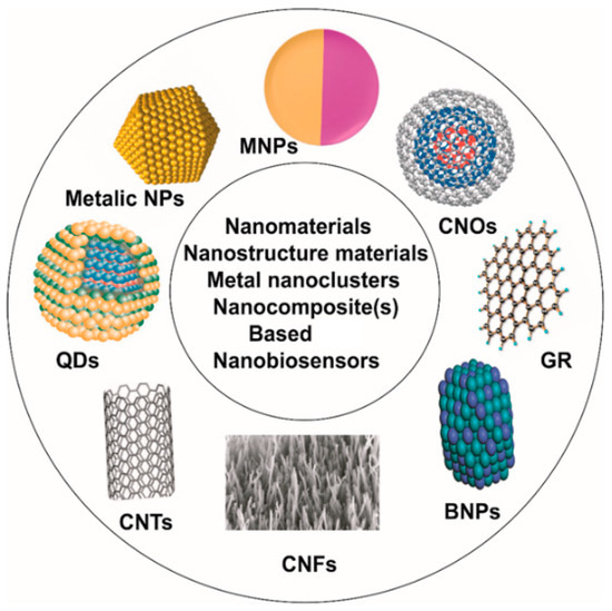 Advances in Electrochemical Nano-Biosensors for Biomedical and ...