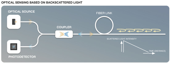 Optical Fiber Sensors and Sensing Networks: Overview of the Main Principles and Applications