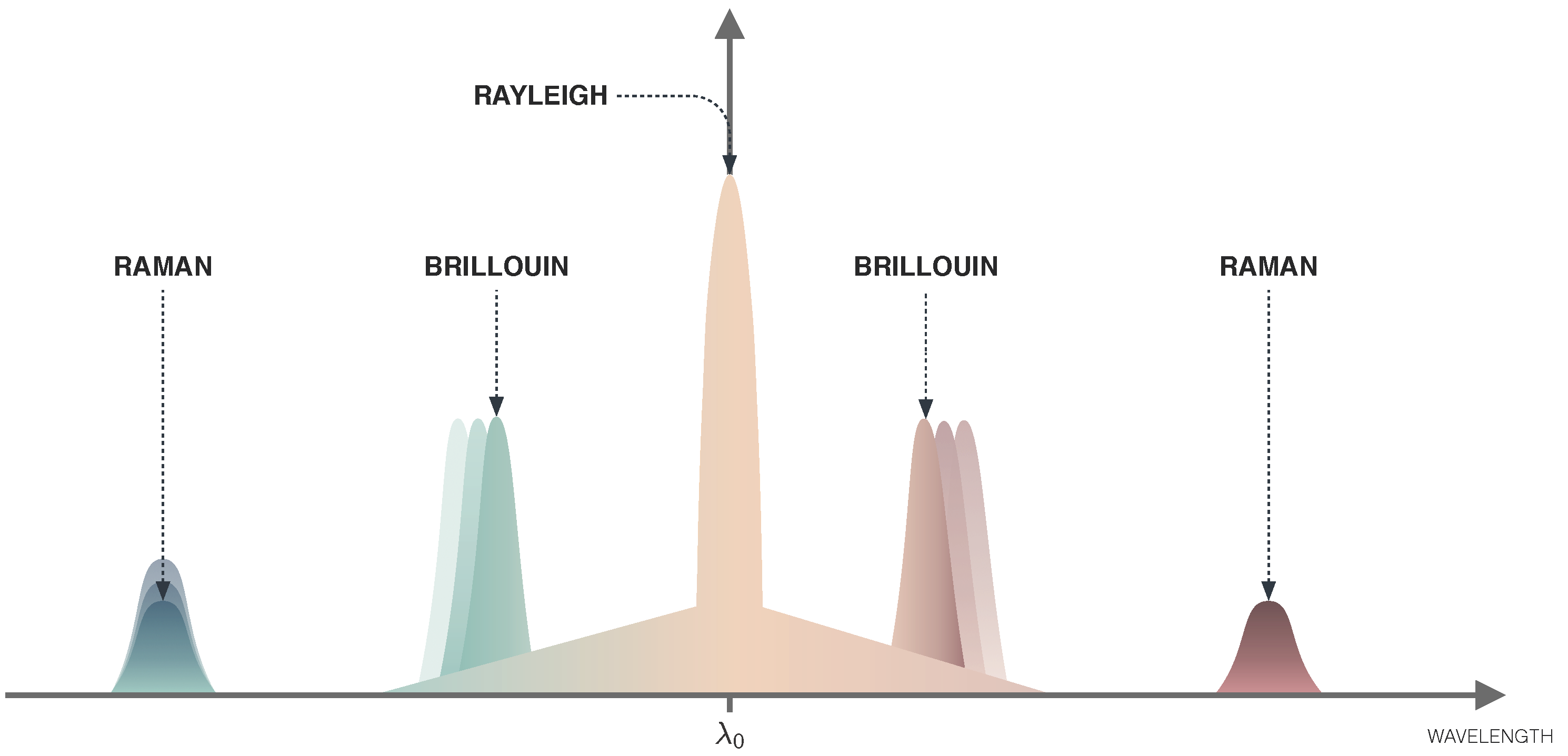 Optical Fiber Sensors and Sensing Networks: Overview of the Main Principles and Applications