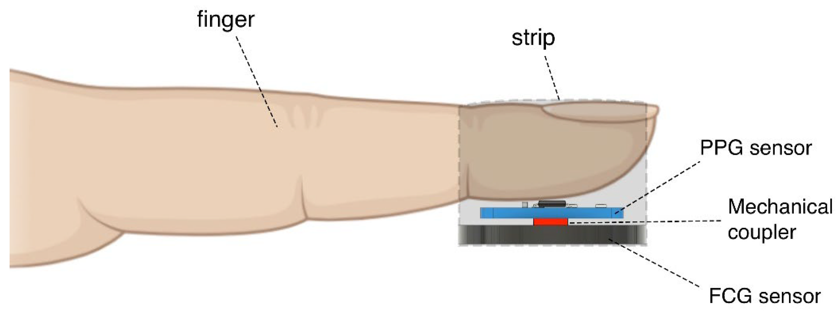 Multimodal Finger Pulse Wave Sensing: Comparison of Forcecardiography and Photoplethysmography ...