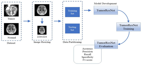 A Robust End-to-End Deep Learning-Based Approach for Effective and Reliable BTD Using MR Images