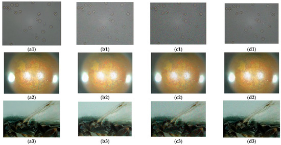 A Method for Medical Microscopic Images’ Sharpness Evaluation Based on NSST and Variance by ...