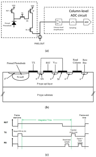 Revisiting the Modeling of the Conversion Gain of CMOS Image Sensors with a New Stochastic Approach