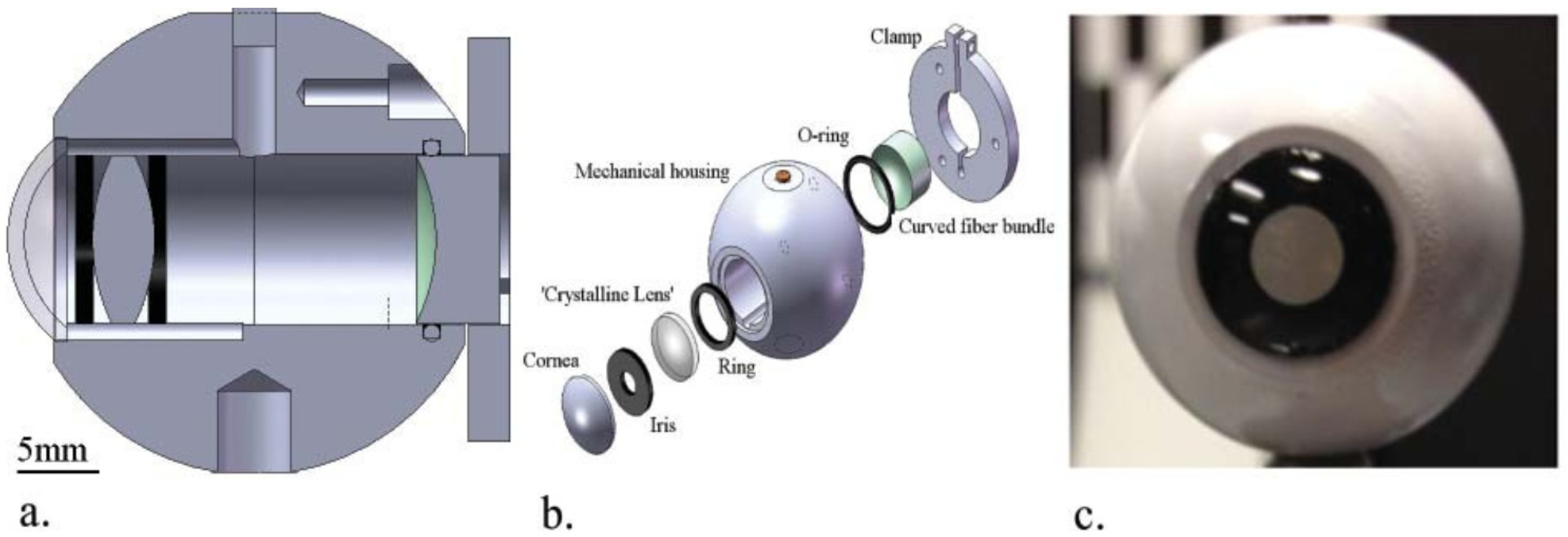 Sensors | Free Full-Text | Opto-Mechanical Eye Models, a Review on ...