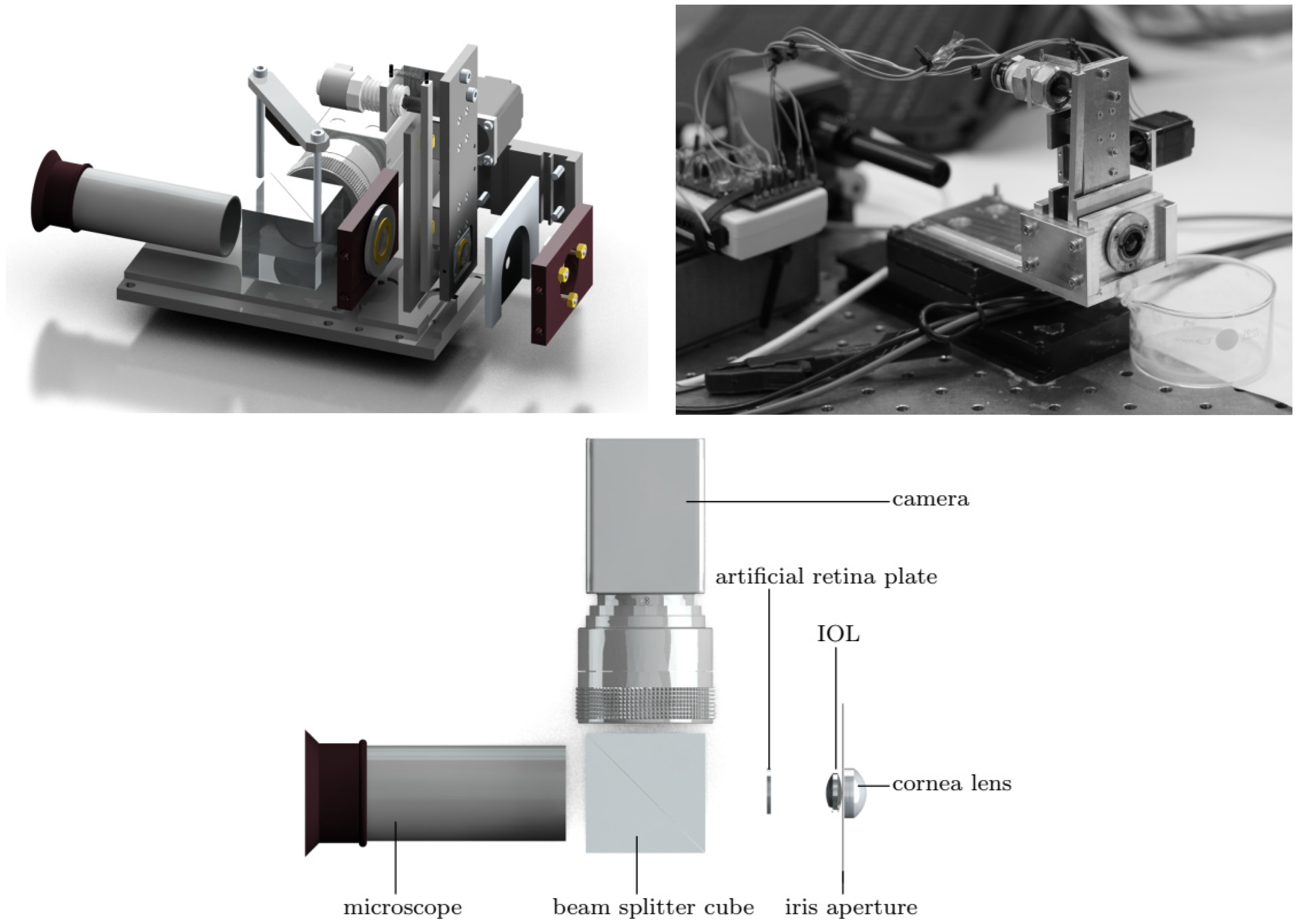 Sensors | Free Full-Text | Opto-Mechanical Eye Models, a Review on ...