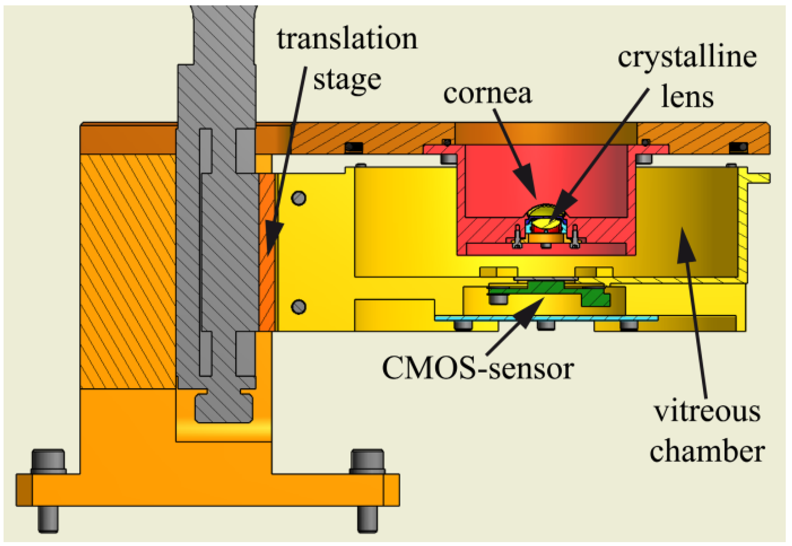 Sensors | Free Full-Text | Opto-Mechanical Eye Models, a Review on ...