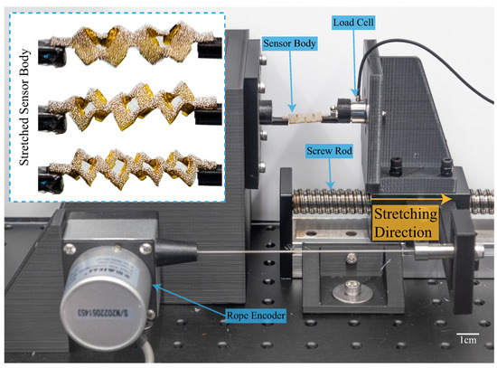 Sensors | Free Full-Text | Soft Robots’ Dynamic Posture Perception ...