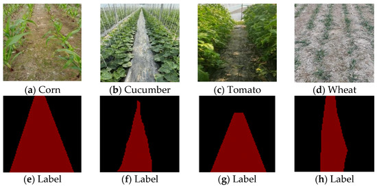 Adaptive Multi-ROI Agricultural Robot Navigation Line Extraction Based ...