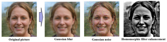 Deep Learning Based One-Class Detection System for Fake Faces Generated ...