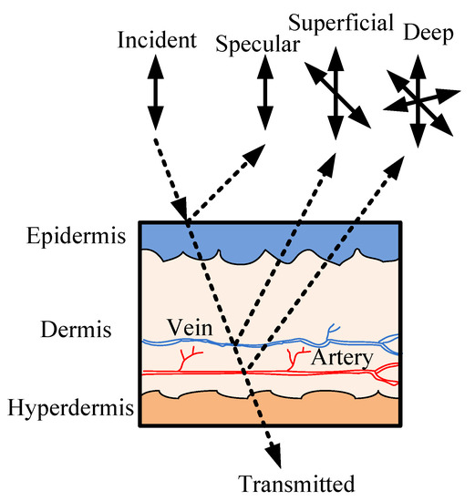 Noninvasive Non-Contact SpO2 Monitoring Using an Integrated ...
