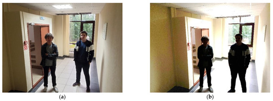 Automatic Placement of Visual Sensors in a Smart Space to Ensure Required PPM Level in Specified ...