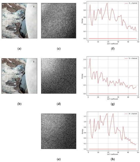 A High-Capacity Steganography Algorithm Based on Adaptive Frequency Channel Attention Networks