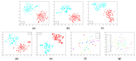 Sensors | Free Full-Text | Beyond PRNU: Learning Robust Device-Specific Fingerprint for Source ...