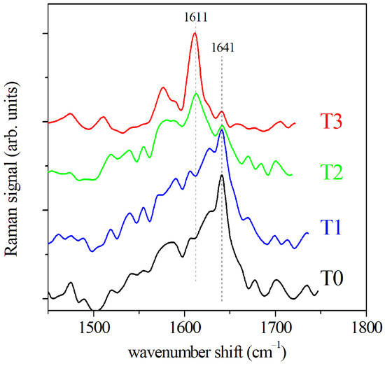 μ-FTIR, μ-Raman, and SERS Analysis of Amide I Spectral Region in Oral ...
